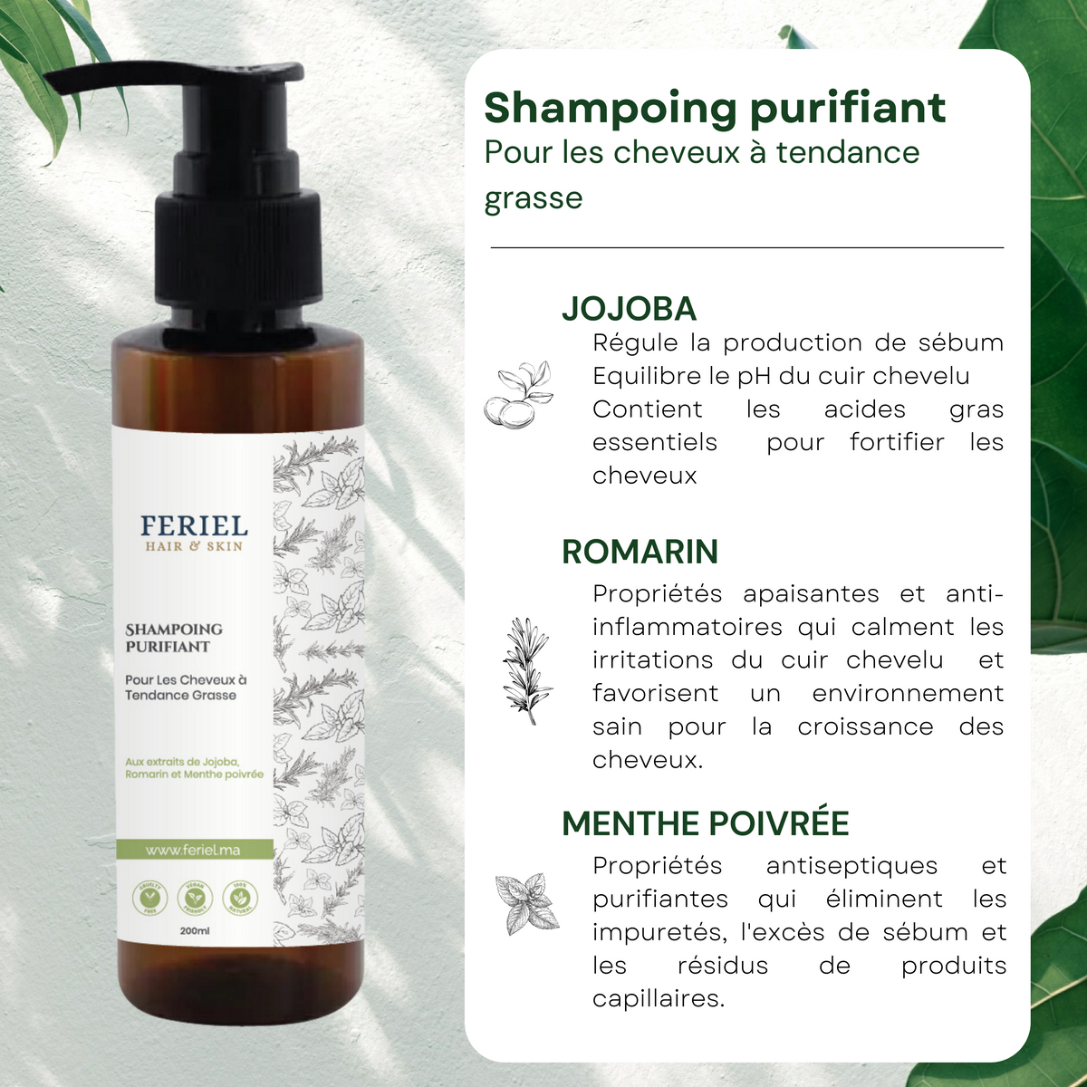 Shampoing Purifiant pour les cheveux à tendance grasse – Feriel.ma
